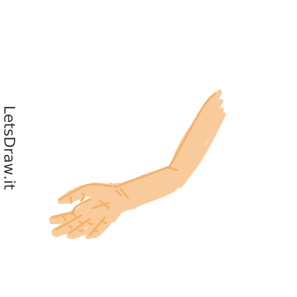 brazo dibujo / 4fozer67i.png / LetsDrawIt