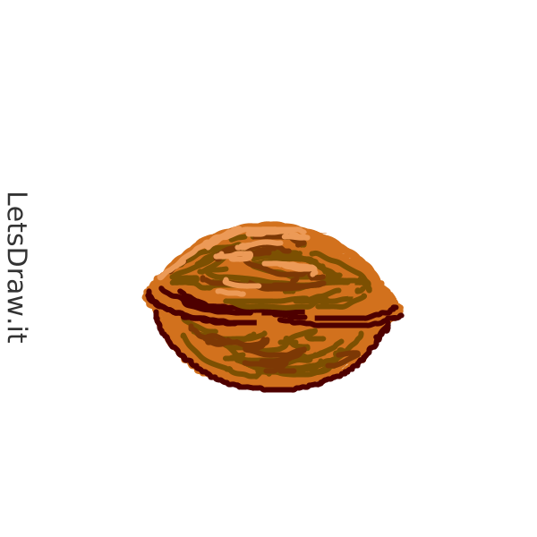 How to draw nut / 4gefocg9s.png / LetsDrawIt