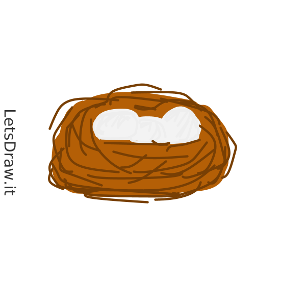 How to draw nest / 4gudrbh7y.png / LetsDrawIt