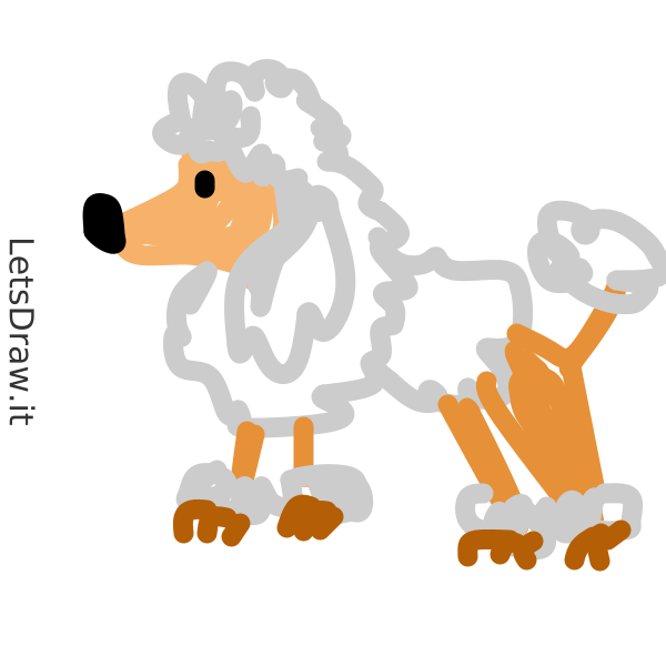 How to draw poodle / 4hsfgz7s5.png / LetsDrawIt