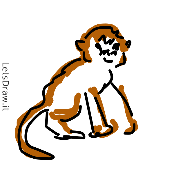 How to draw monkey / 4ib8fqjn7.png / LetsDrawIt