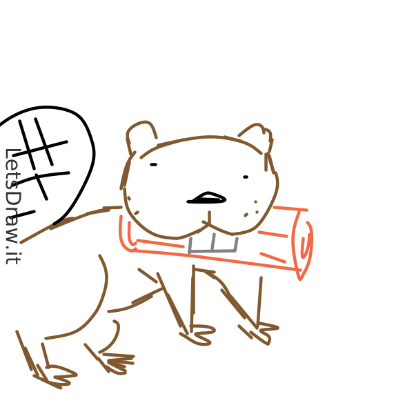 How to draw beaver / 4k3jbyskc.png / LetsDrawIt