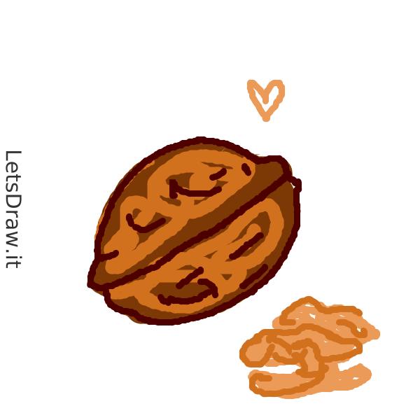 How to draw walnut / 4k8jwn79o.png / LetsDrawIt
