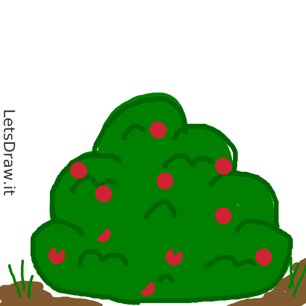 How to draw bush / 4khtx3hrg.png / LetsDrawIt