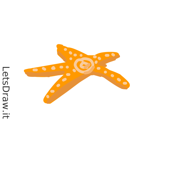 How to draw starfish / 4mryg11ya.png / LetsDrawIt