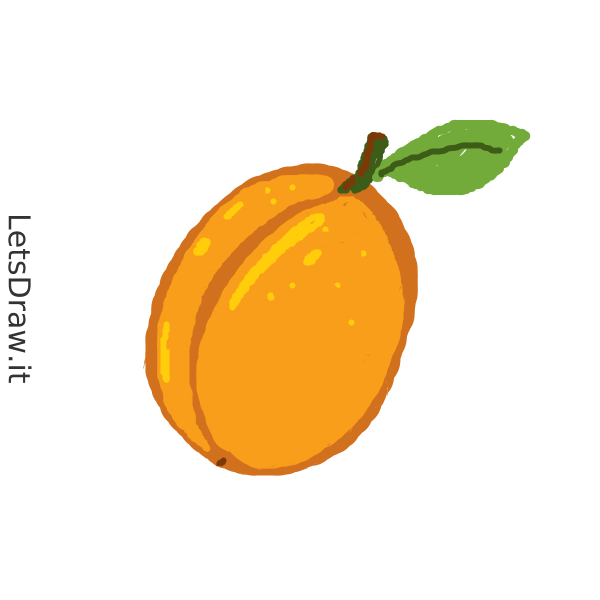 How to draw apricot / 4s3koz9hg.png / LetsDrawIt