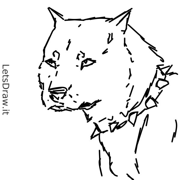 How to draw dog collar / 4tuept3ob.png / LetsDrawIt