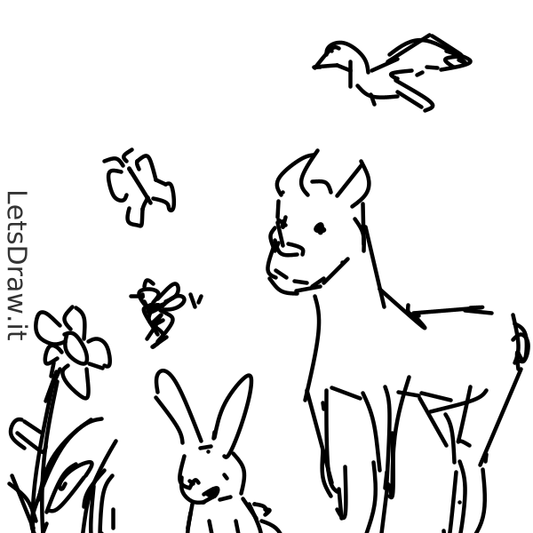 How to draw animal / 547nkts6e.png / LetsDrawIt