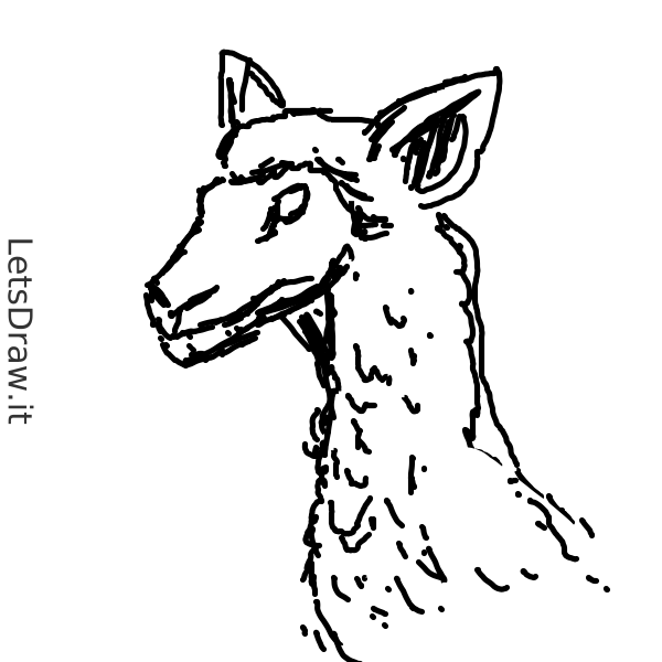 How to draw llama / 56cn8s95s.png / LetsDrawIt