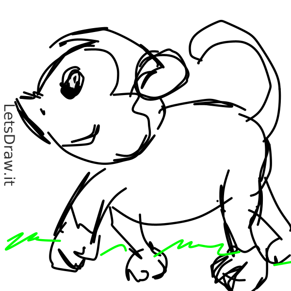How to draw monkey / 5bwj8ysfr.png / LetsDrawIt