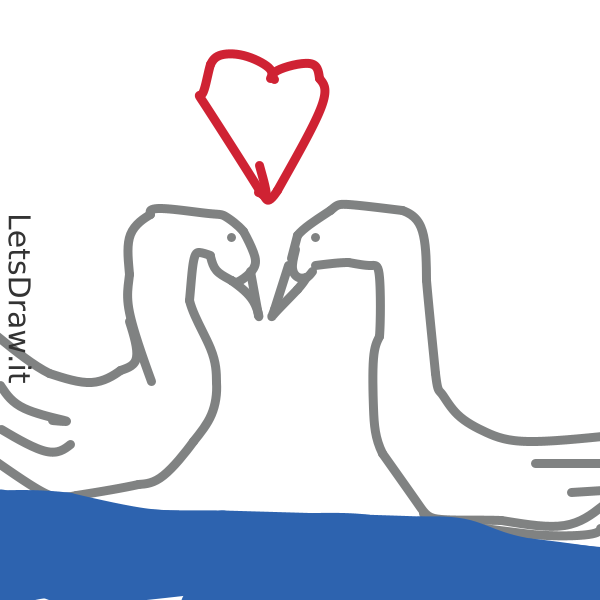 How to draw swan / 5c5dnzy5e.png / LetsDrawIt