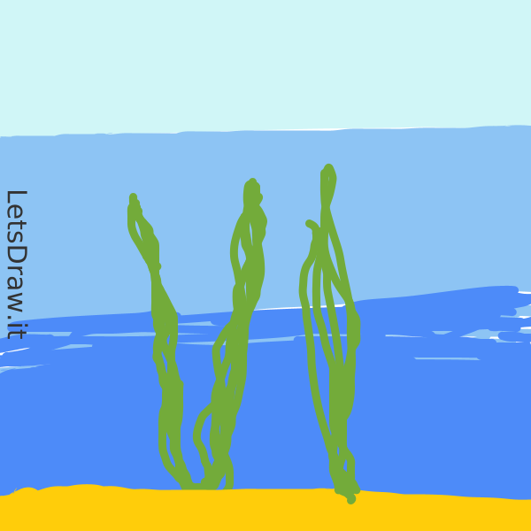 How to draw seaweed / 5ifjx7h9x.png / LetsDrawIt