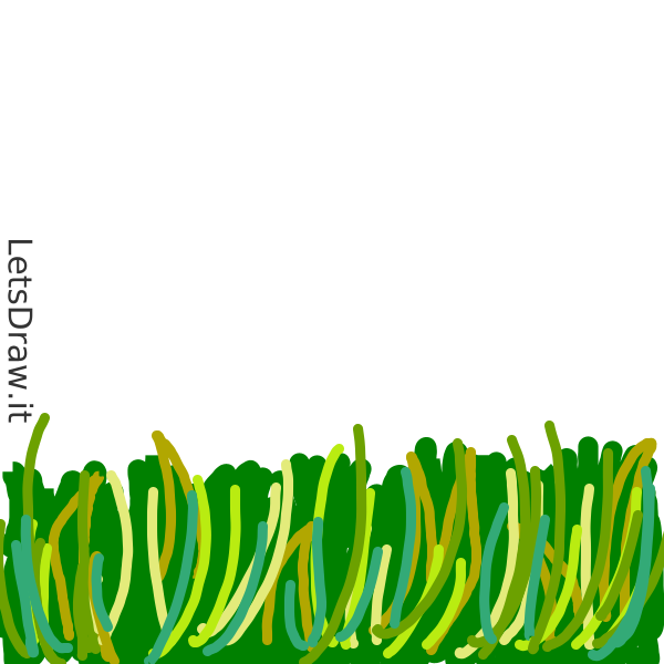 How to draw grass / 5kjqmpbd.png / LetsDrawIt