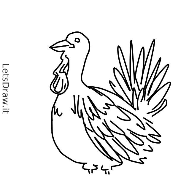 How to draw turkey / LetsDrawIt