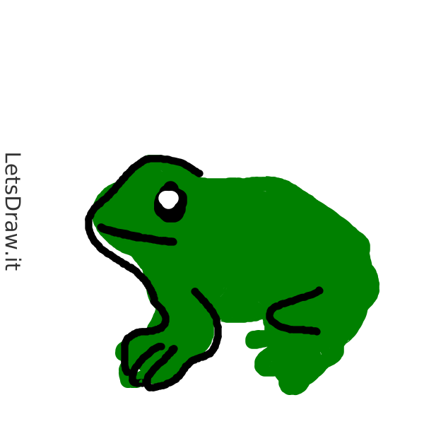 How to draw frog / LetsDrawIt
