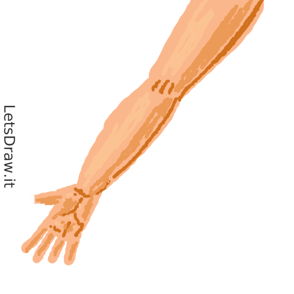 How to draw arm / 5rxsoi47d.png / LetsDrawIt