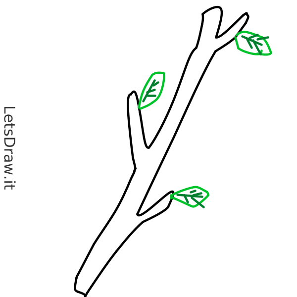 How to draw branch / 5srfk8kia.png / LetsDrawIt