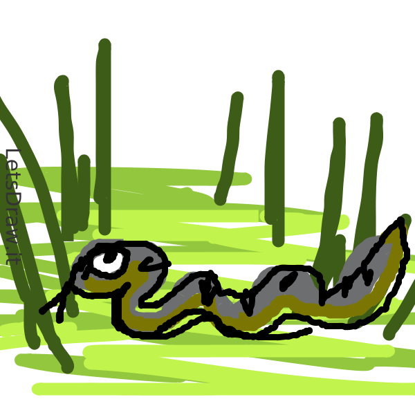 How to draw grass snake / 5ssbo5wo5.png / LetsDrawIt