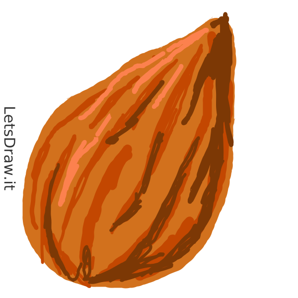 How to draw almond / LetsDrawIt
