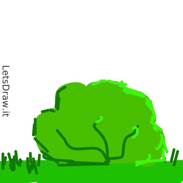 How to draw bush / 5w17mzqpp.png / LetsDrawIt