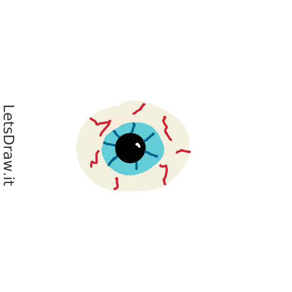How to draw eyeball / 5wnpmy69a.png / LetsDrawIt