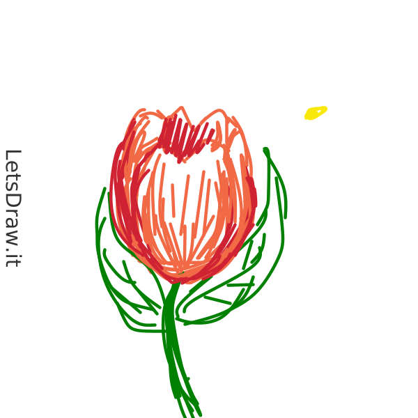 How to draw tulip / 5x3zbnxjx.png / LetsDrawIt