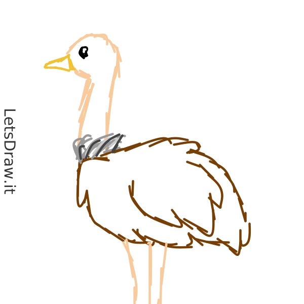 How to draw ostrich / LetsDrawIt