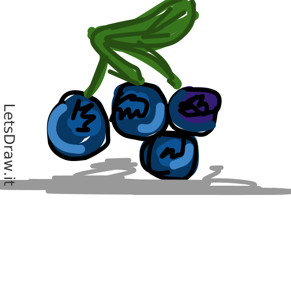 How to draw blueberries / 5xd58hyk1.png / LetsDrawIt