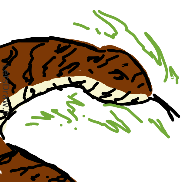 How to draw grass snake / 5yc9ozu9o.png / LetsDrawIt