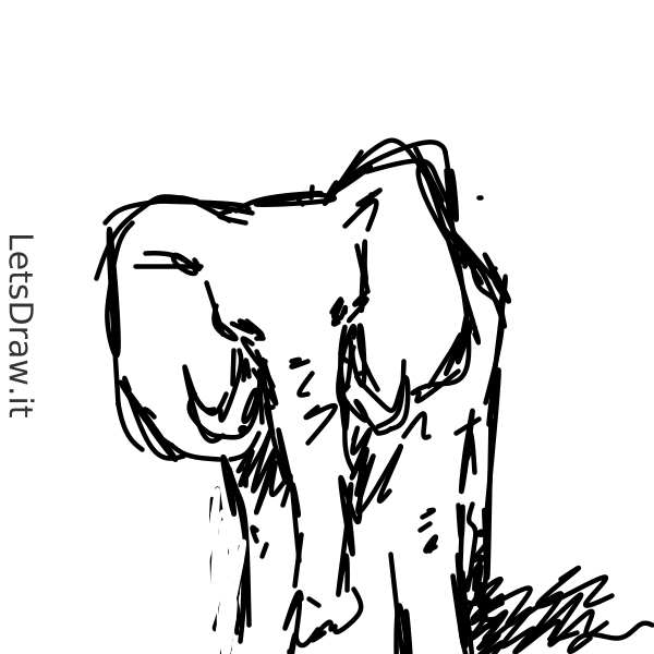 How to draw elephant / 654jbtkoz.png / LetsDrawIt