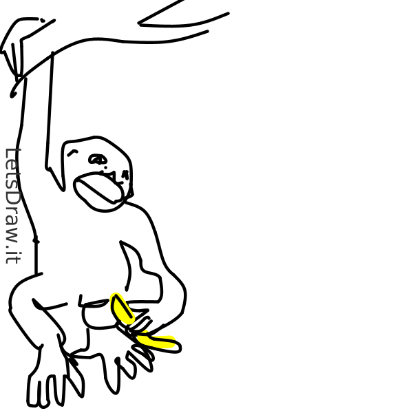 How to draw monkey / 68jzf6z5r.png / LetsDrawIt