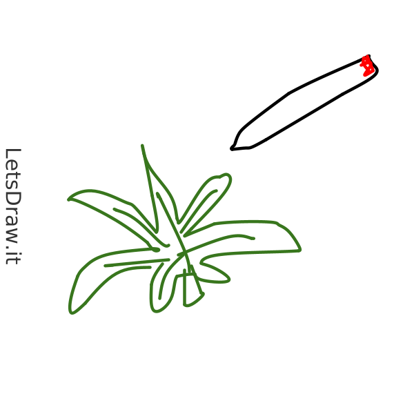 How to draw Cannabis / 69ugeptsc.png / LetsDrawIt