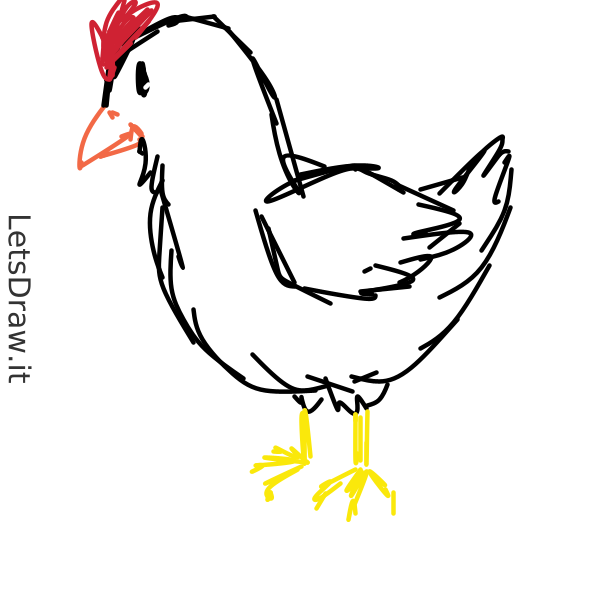 How to draw chicken / 6c31sjau.png / LetsDrawIt