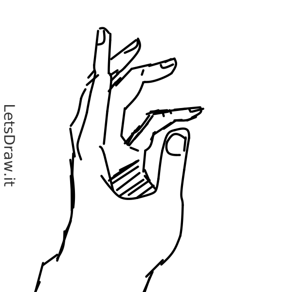 How to draw your pinky finger / 6cmfcohyw.png / LetsDrawIt