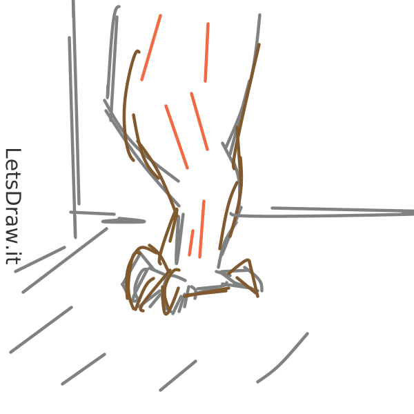 How to draw claw / 6e9tm7wo.png / LetsDrawIt