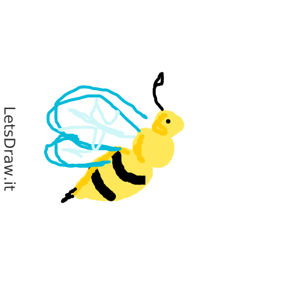 How to draw bee / 6edkoc3ch.png / LetsDrawIt