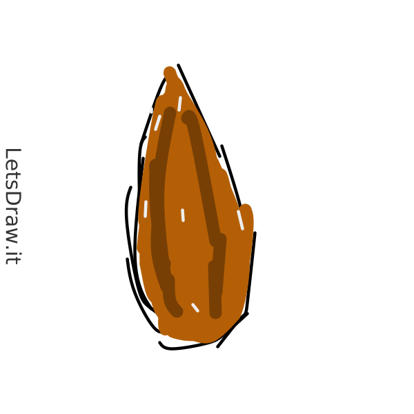 How to draw almond / 6epggbof3.png / LetsDrawIt