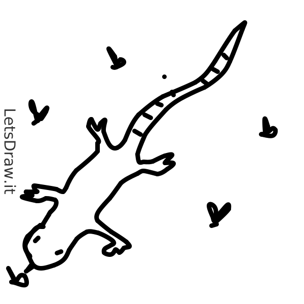 How to draw lizard / 6oxpcy8y.png / LetsDrawIt