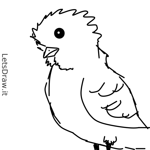 How to draw bird / 6pcgf1zdw.png / LetsDrawIt