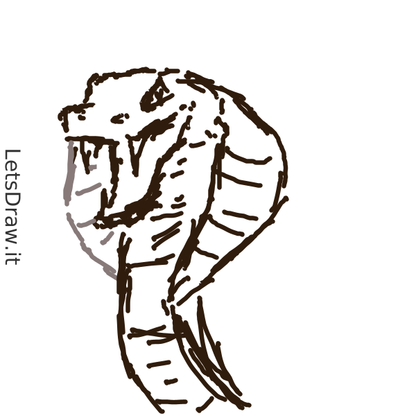How to draw cobra / 6pheggutj.png / LetsDrawIt