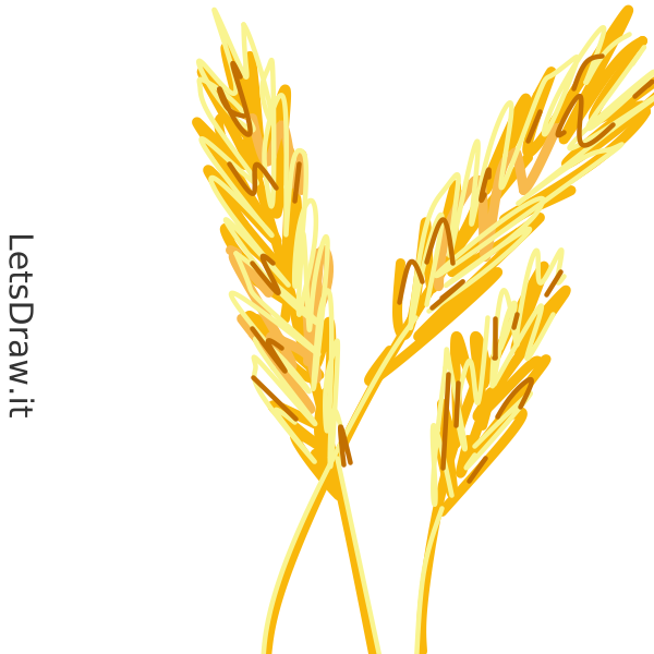How to draw wheat / LetsDrawIt