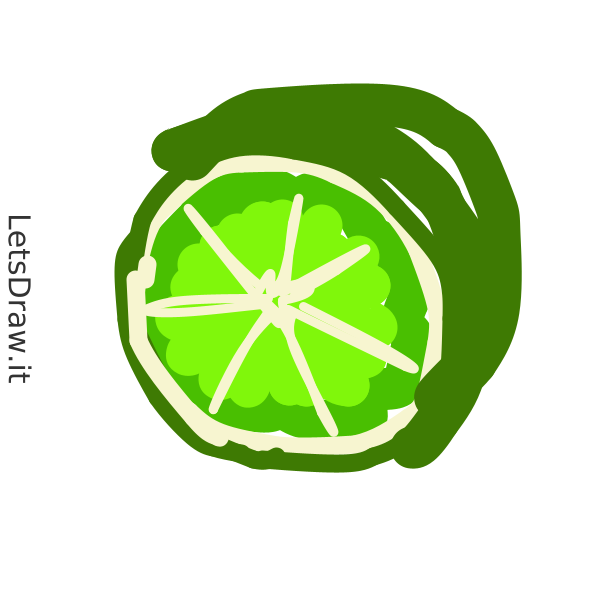 How to draw Lime / 6t8smdppk.png / LetsDrawIt