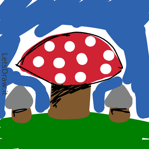 How to draw mushroom / 6xgcrcu8.png / LetsDrawIt