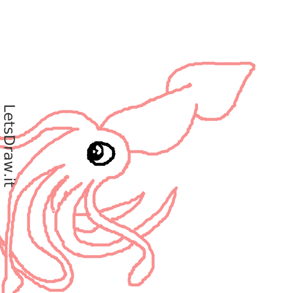 How to draw giant squid / 6yizowkgd.png / LetsDrawIt