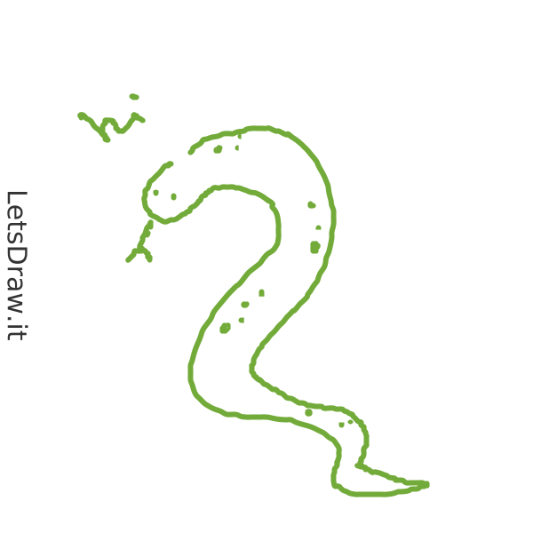 How to draw grass snake / 755zqcnrk.png / LetsDrawIt