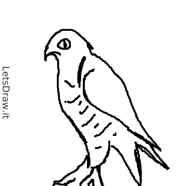 How to draw falcon / LetsDrawIt
