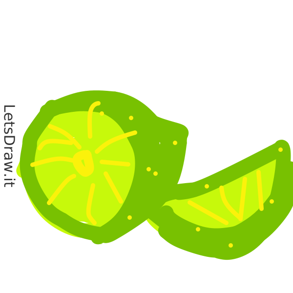 How to draw Lime / 775zmsfh3.png / LetsDrawIt