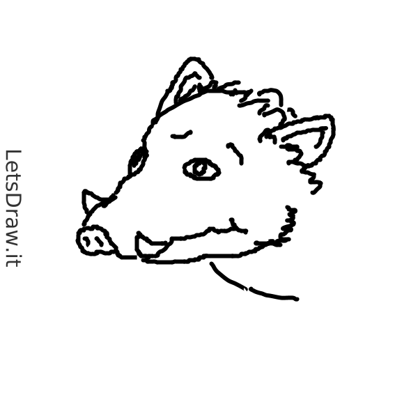 How to draw boar / 7869o56fe.png / LetsDrawIt