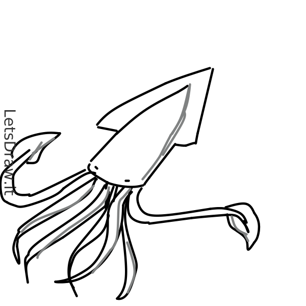 How to draw squid / 79xr9rba.png / LetsDrawIt