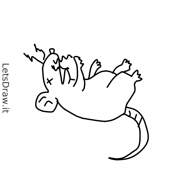 How to draw dead rat / 7b4xp16jo.png / LetsDrawIt
